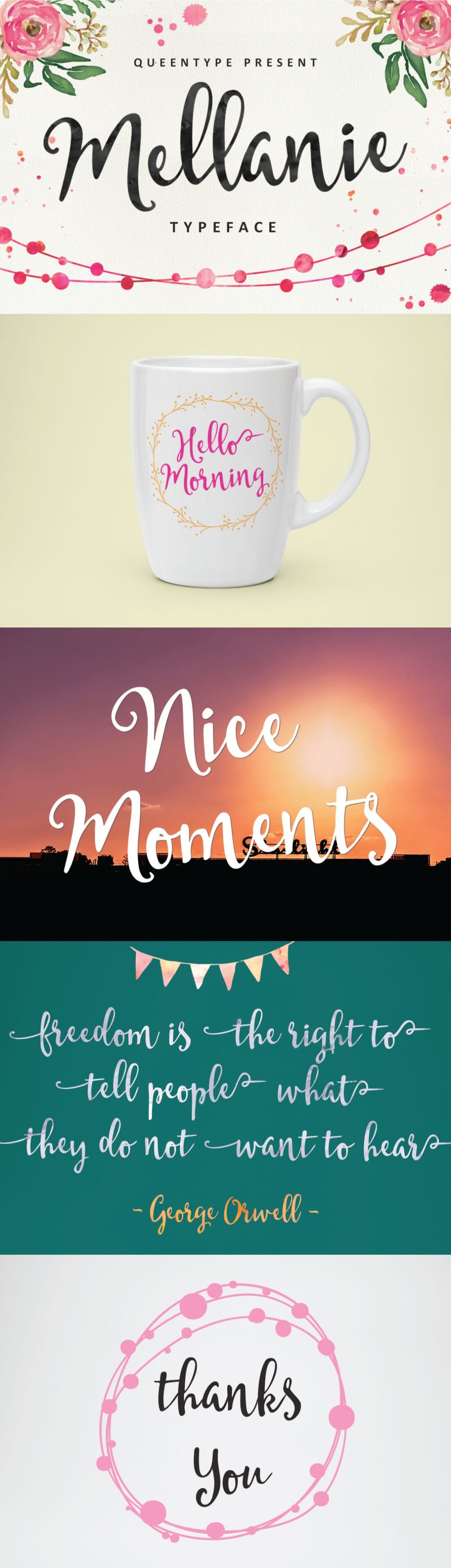 Script Fonts Bundle 13 Fonts From QueenType with Extended License